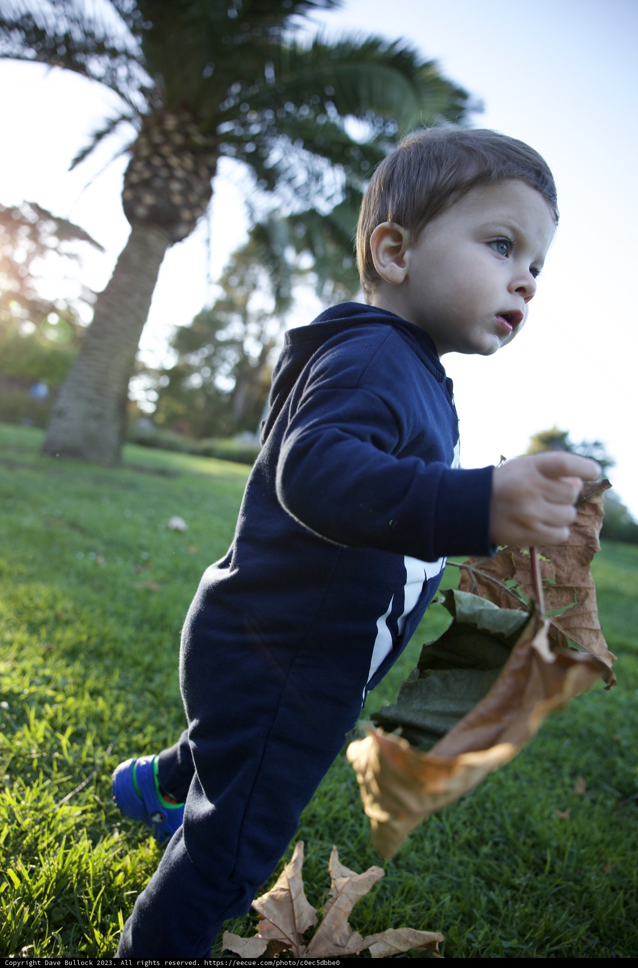 Dave Bullock / eecue